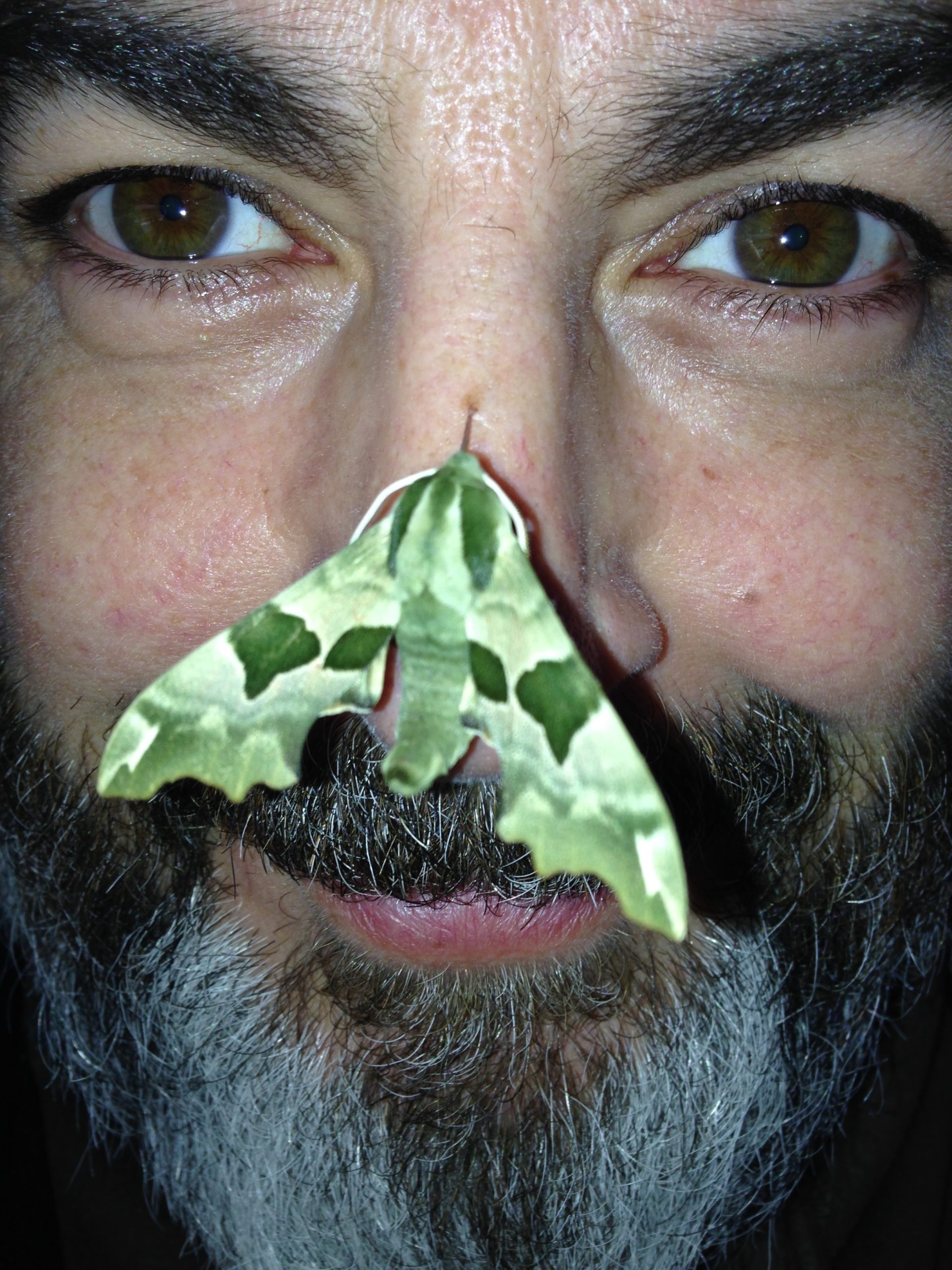 Tim Preston - Byte The Book