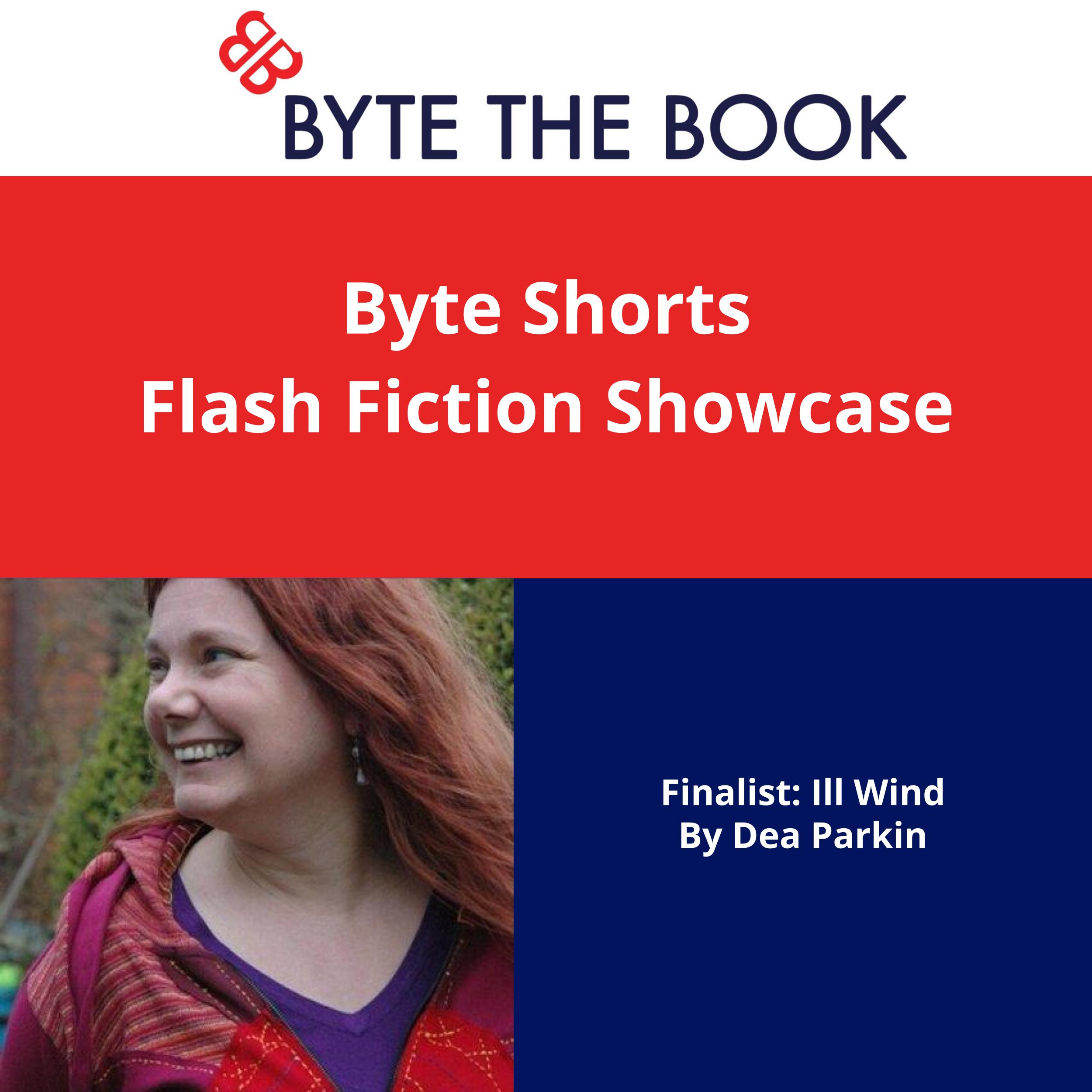 Ill Wind - Byte The Book